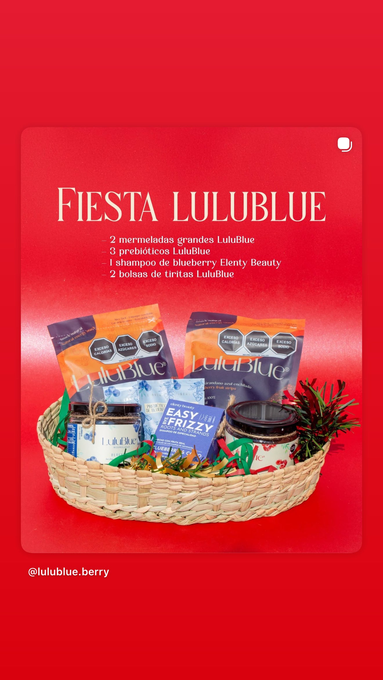 Canasta Navideña FIESTA 🎄🎅🏼 – LuluBlue Berries del Corazón