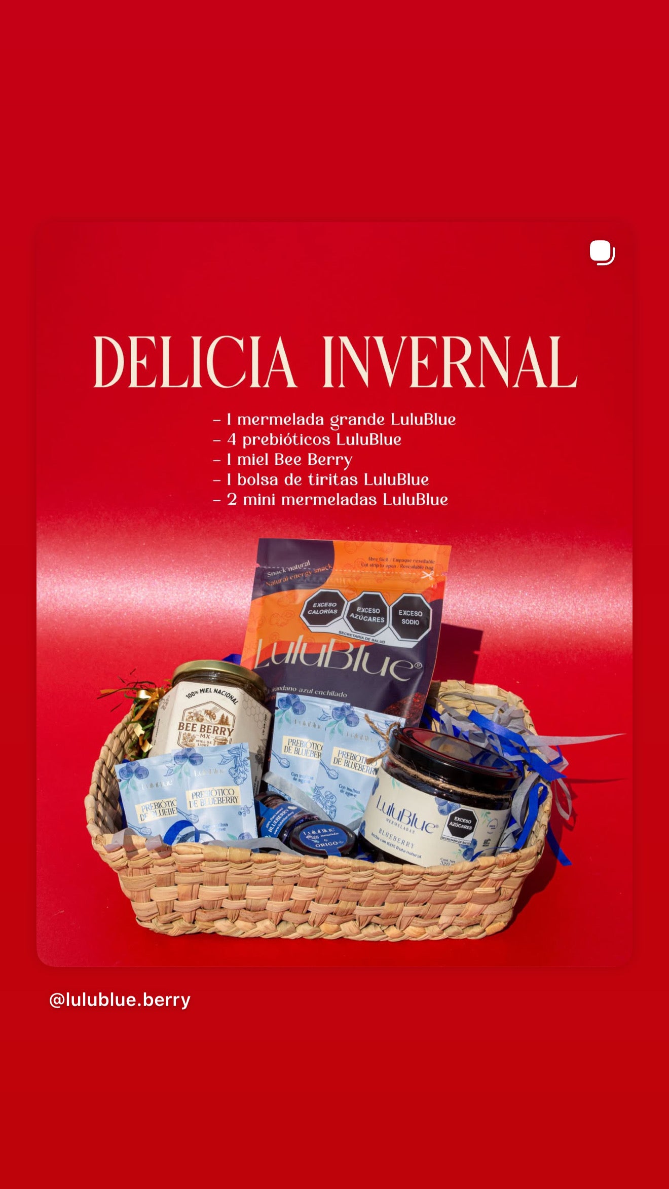 Canasta Navideña Delicia Invernal 🎄🎅🏼 – LuluBlue Berries del Corazón